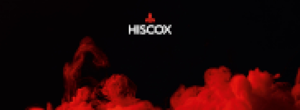 Zichtbare pixels in het drukwerk | Hiscox Nederland
